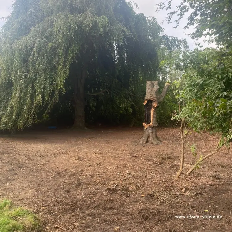 Essen Steele - Vielfalt an der Ruhr
